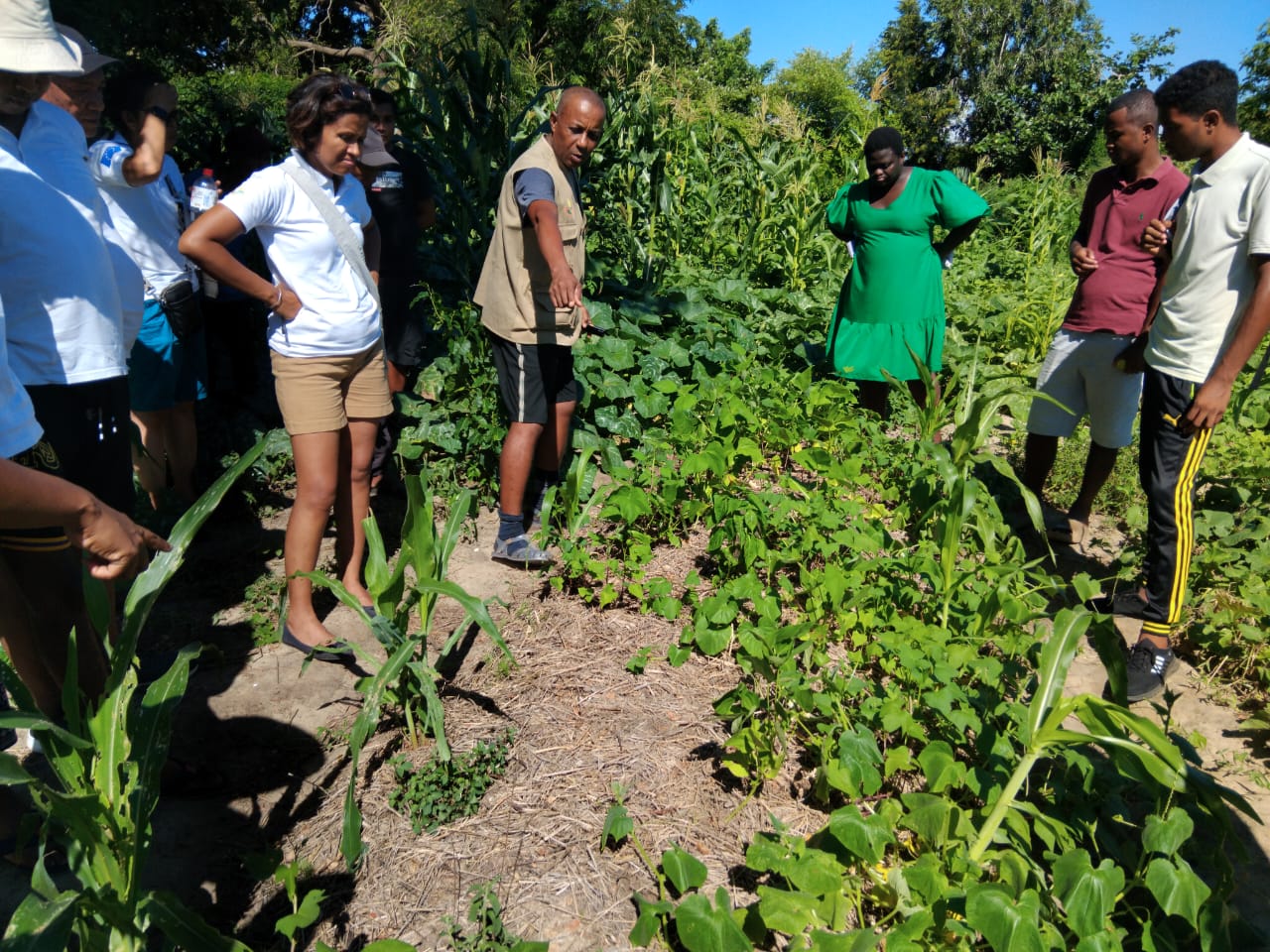 Madagascar Farmers and Extension Work Share Experince on Implementation ...